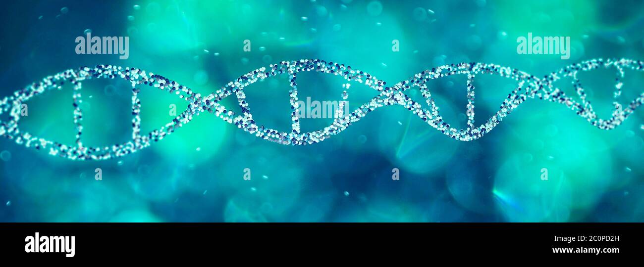 DNA helix, Deoxyribonucleic acid is a thread-like chain of nucleotides ...