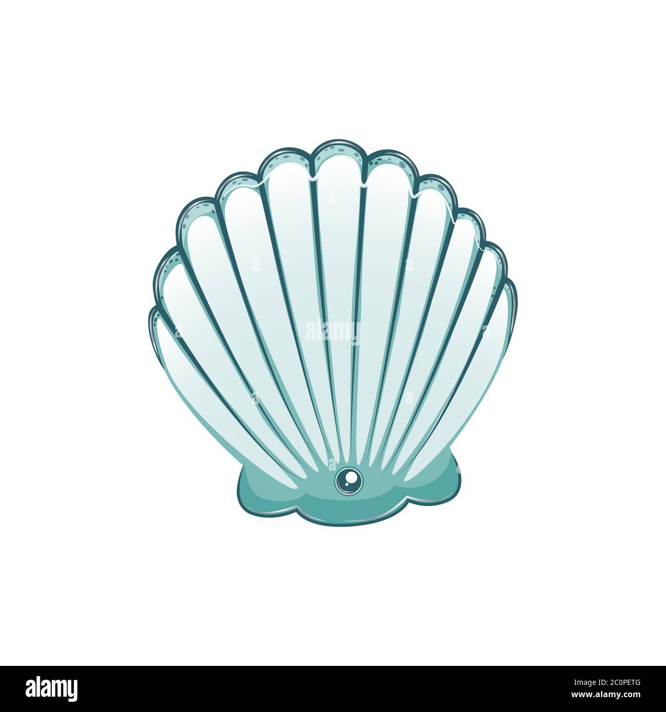 Turquoise sea shell stock vector illustration isolated on white ...