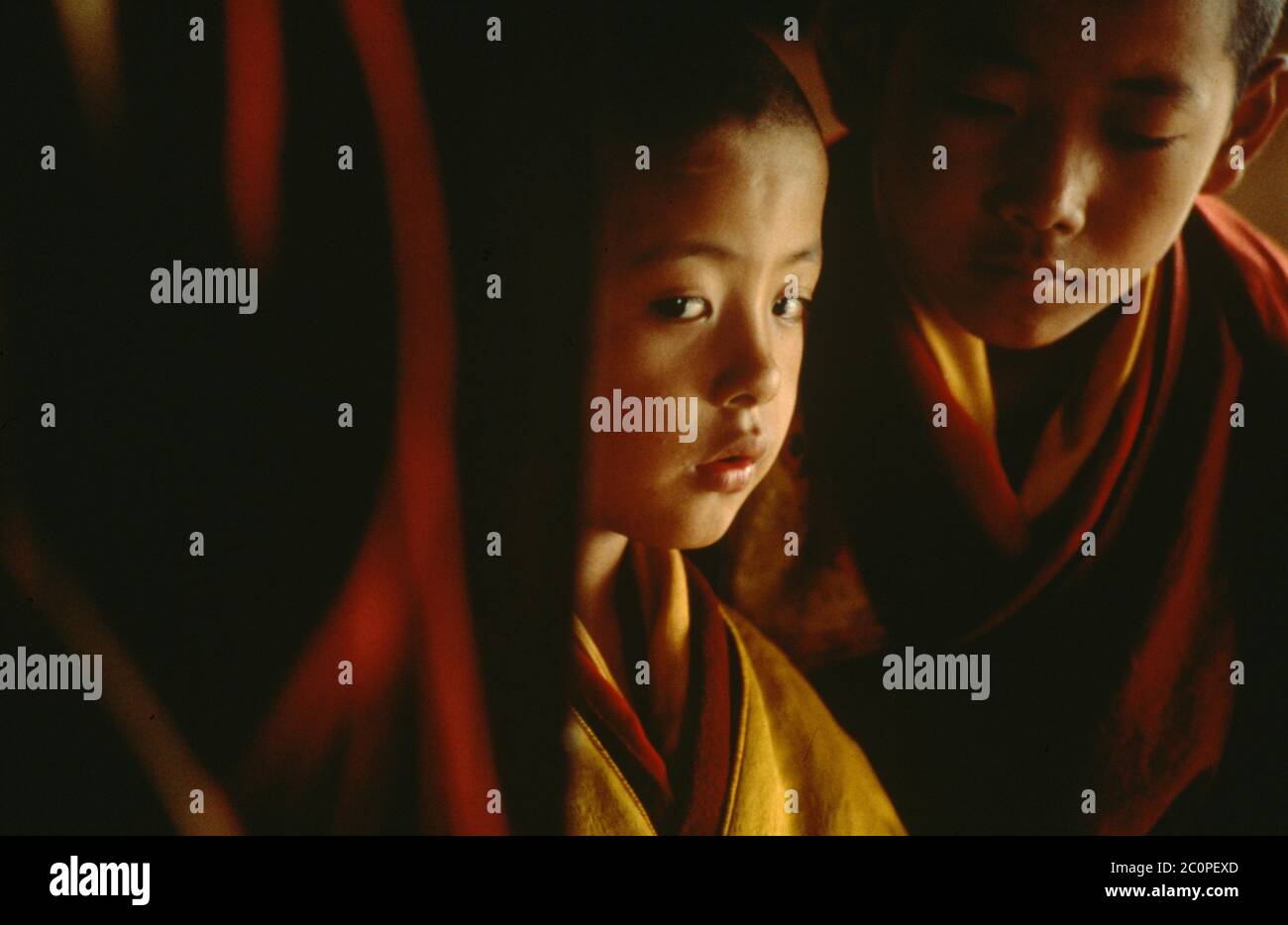 Tulku jamyang kunga tenzin kundun hi-res stock photography and images ...