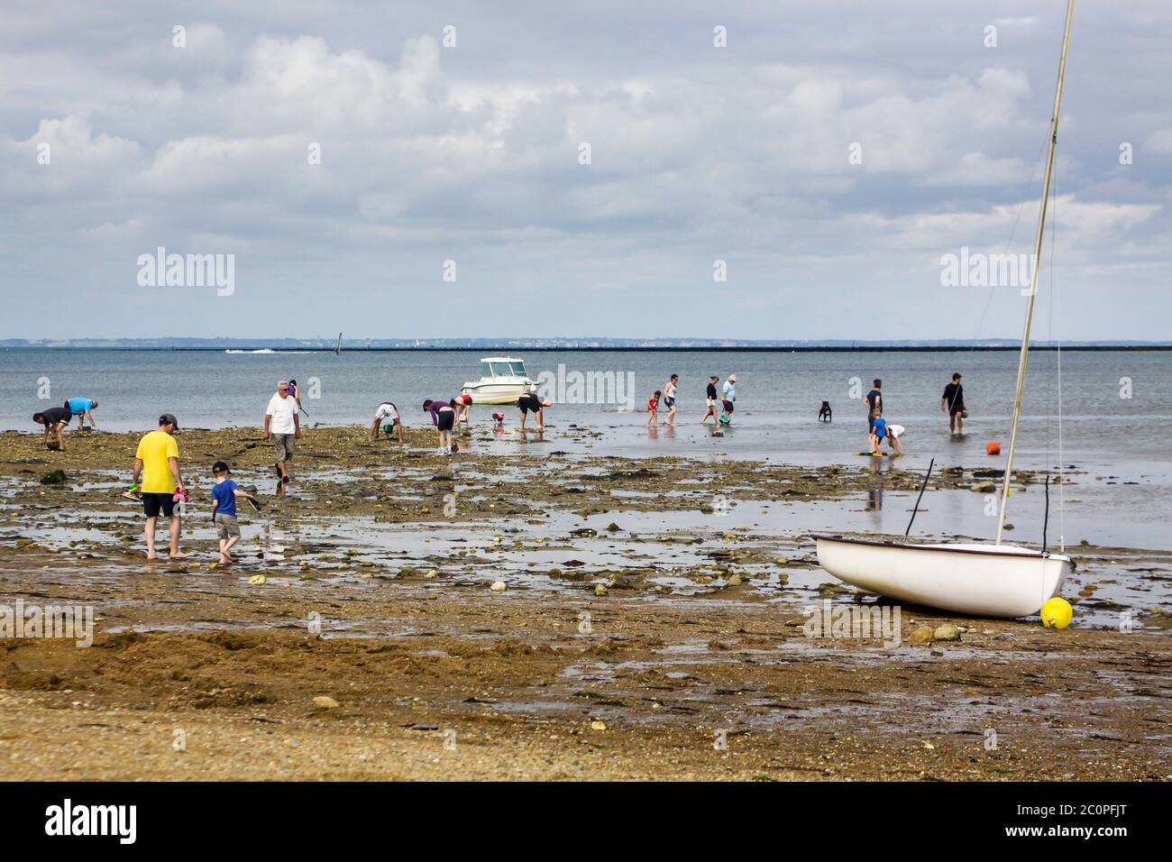 Collecting shellfish rocks hi-res stock photography and images - Alamy