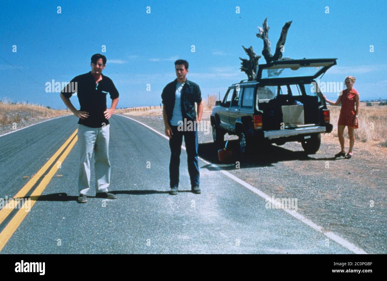 THE TRIGGER EFFECT (1996) 003 Stock Photo - Alamy