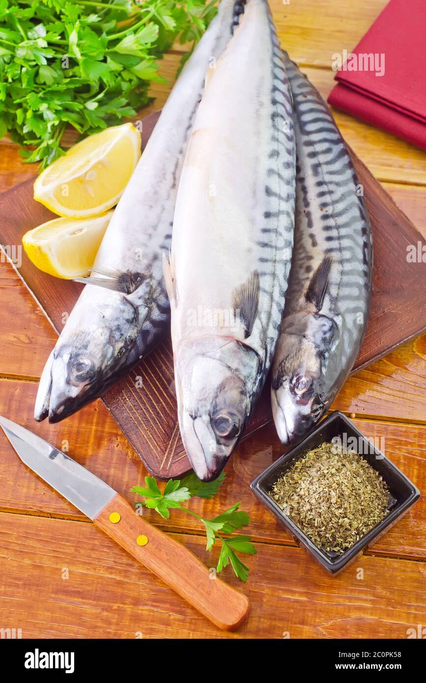 Hardhead fish hi-res stock photography and images - Alamy
