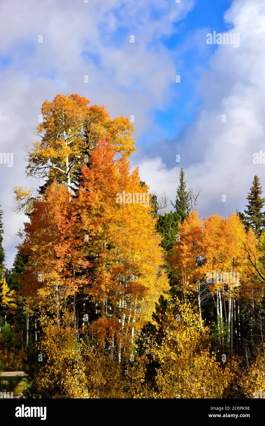 Canyon with fall colors hi-res stock photography and images - Alamy