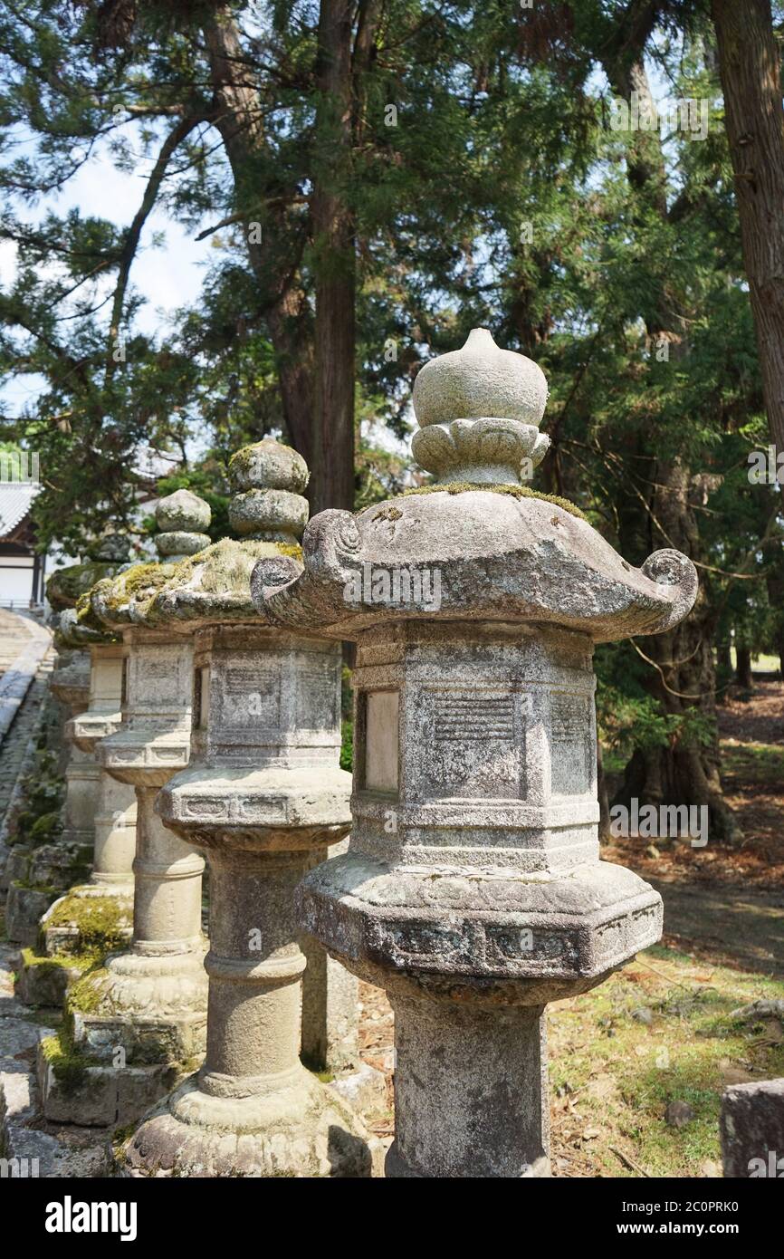 Old Japanese stone lanterns, trees in the background, Nara, Japan Stock ...