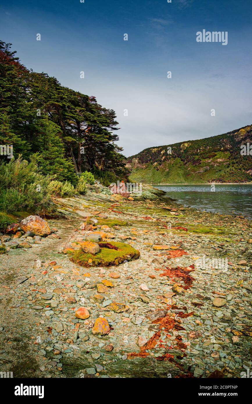 Magical austral Magellanic subpolar forests and turquoise lagoons in ...