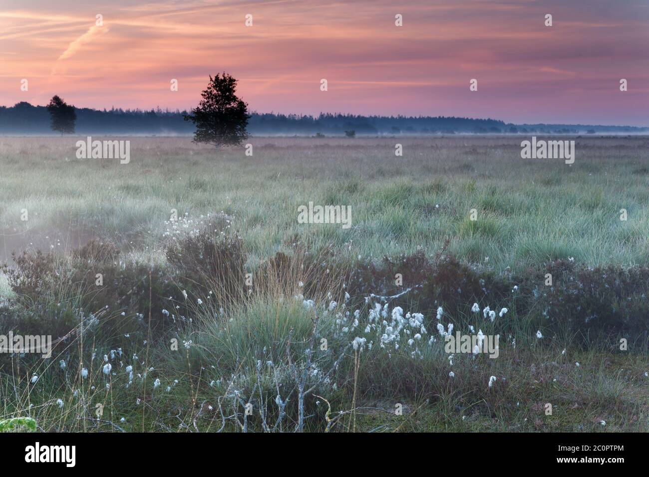 beautiful sunrise on marsh Stock Photo - Alamy