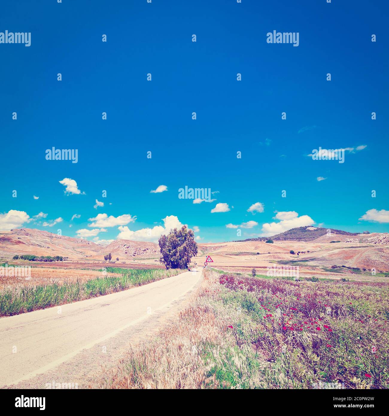 Italian countryside flower road hi-res stock photography and images - Alamy