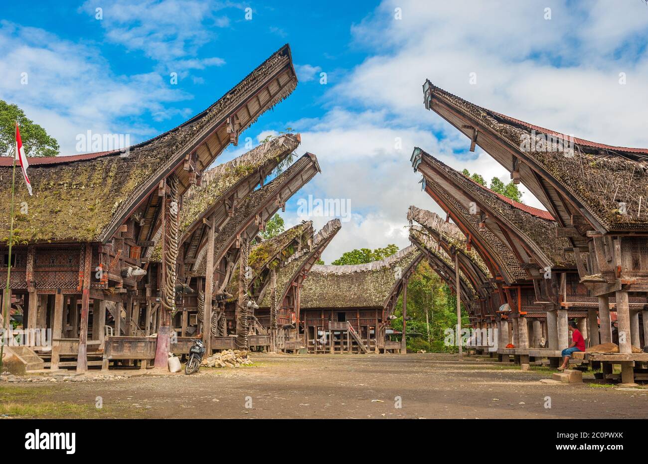 Tongkonan houses, traditional Torajan buildings, Tana Toraja, Sulawesi ...