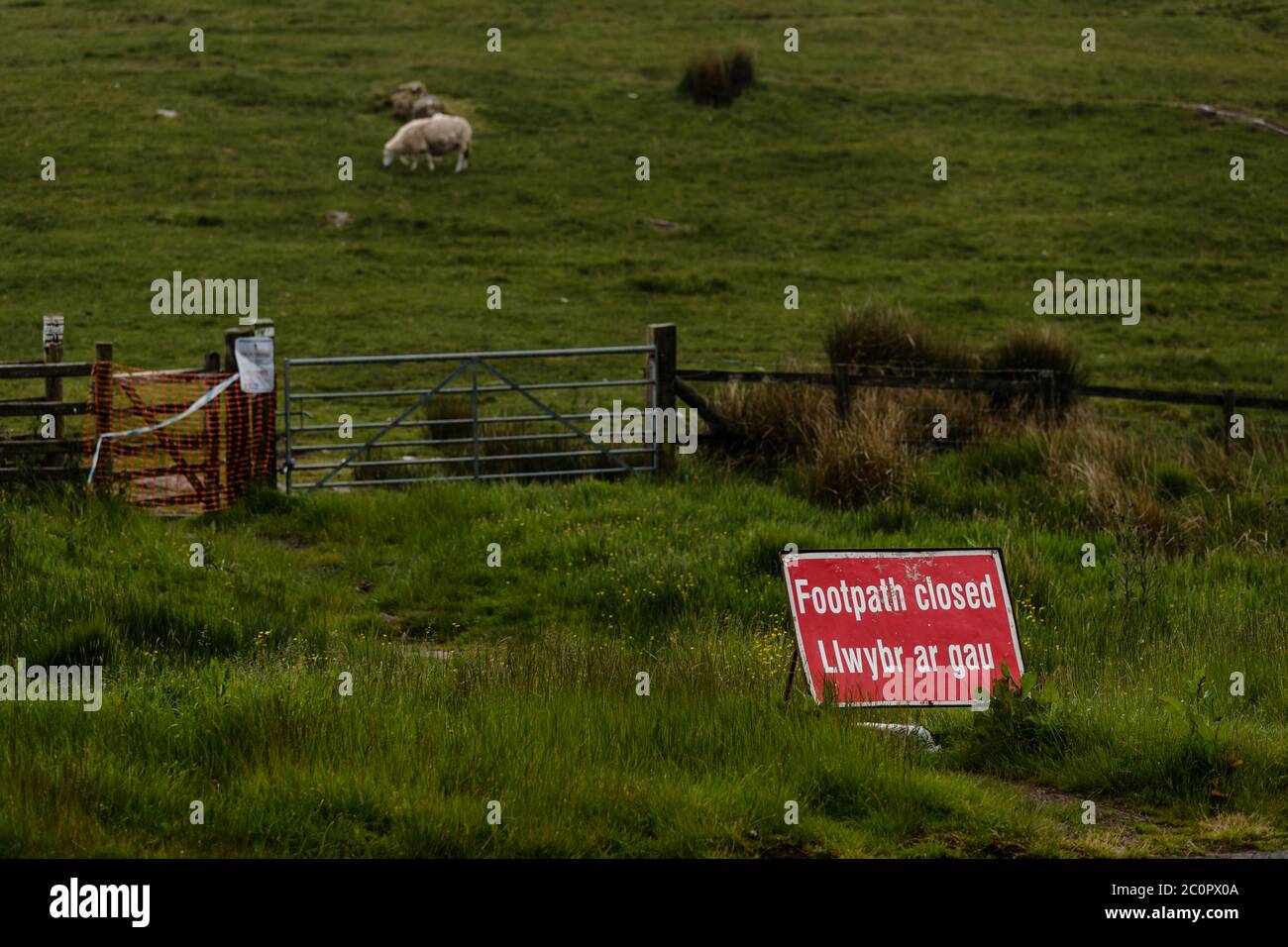 Welsh covid rules apply hi-res stock photography and images - Alamy