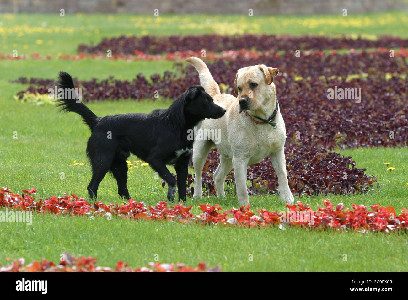 Mismatch hi-res stock photography and images - Alamy