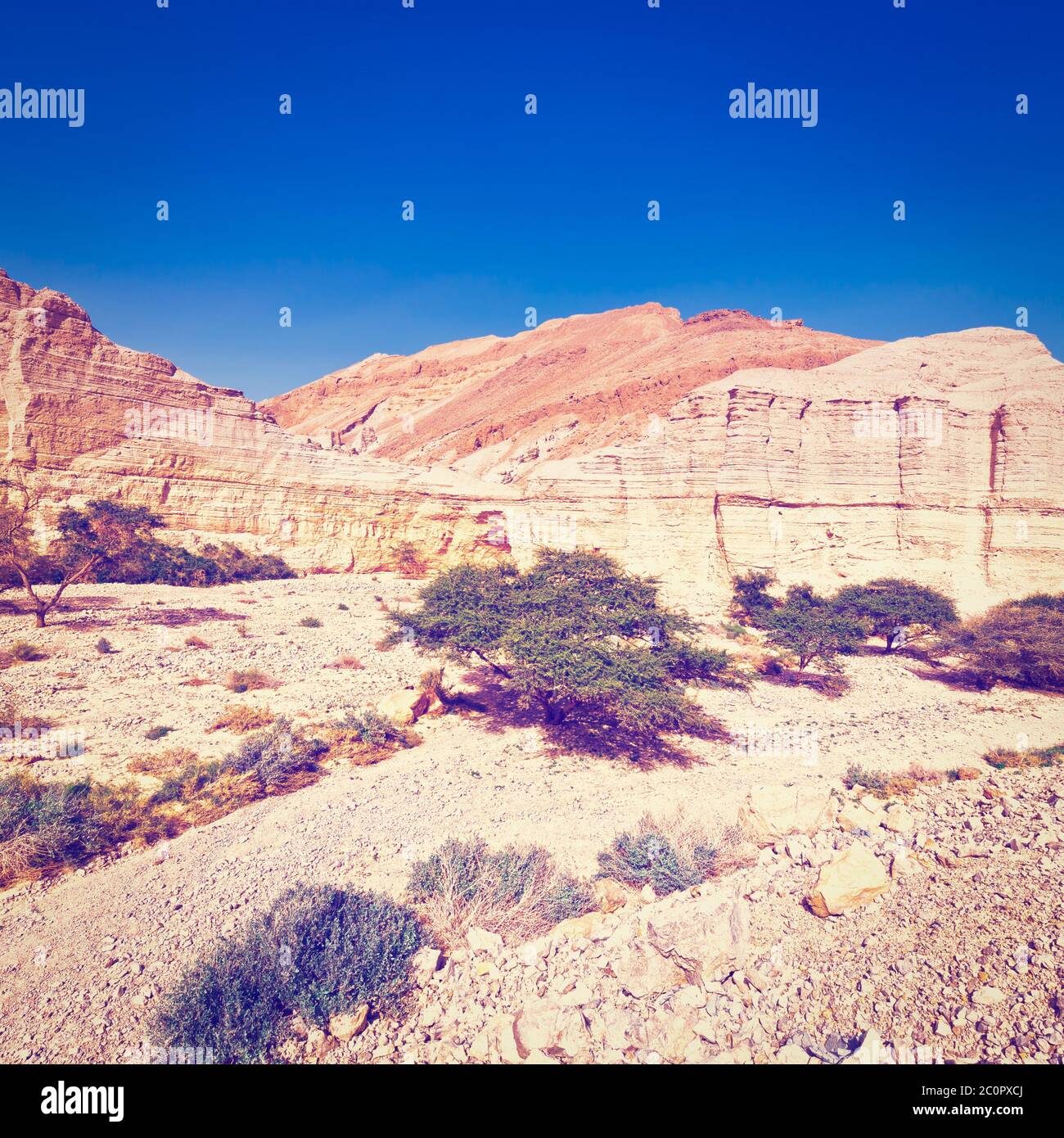 Desert in Israel Stock Photo - Alamy