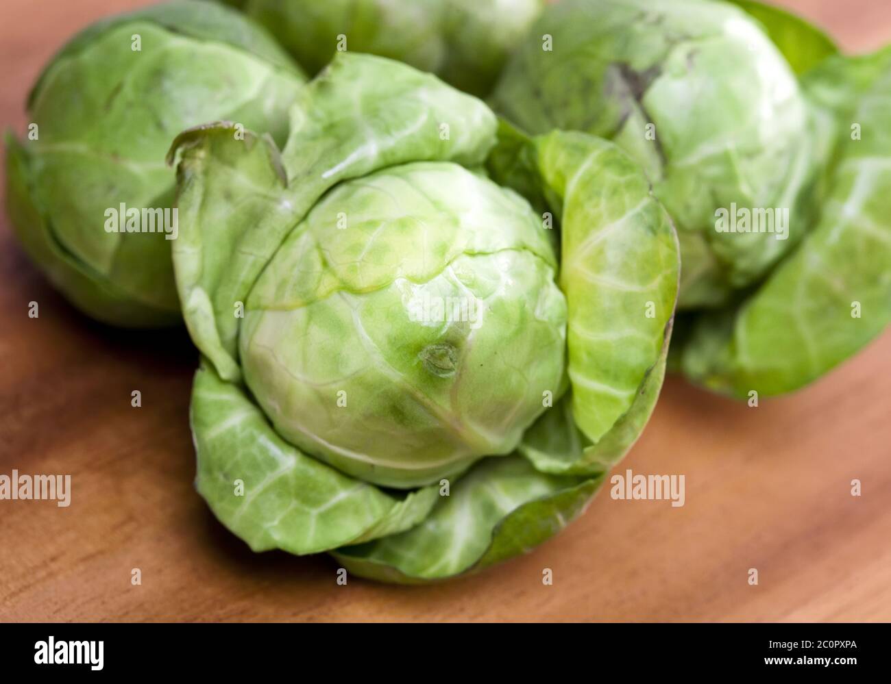 Edible sprout hi-res stock photography and images - Alamy