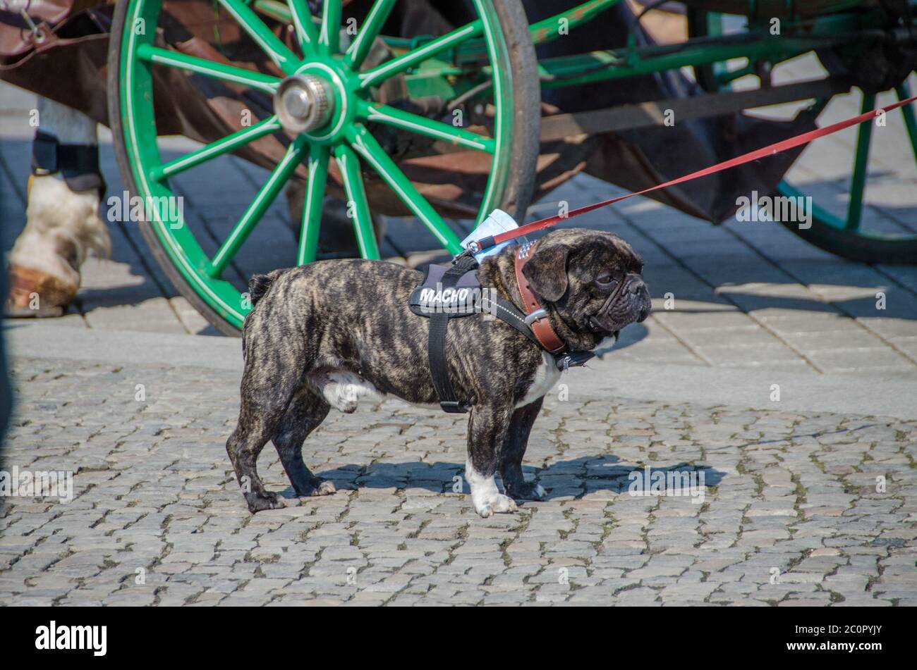 Germany, Berlin Easter Markets 2014 Stock Photo - Alamy