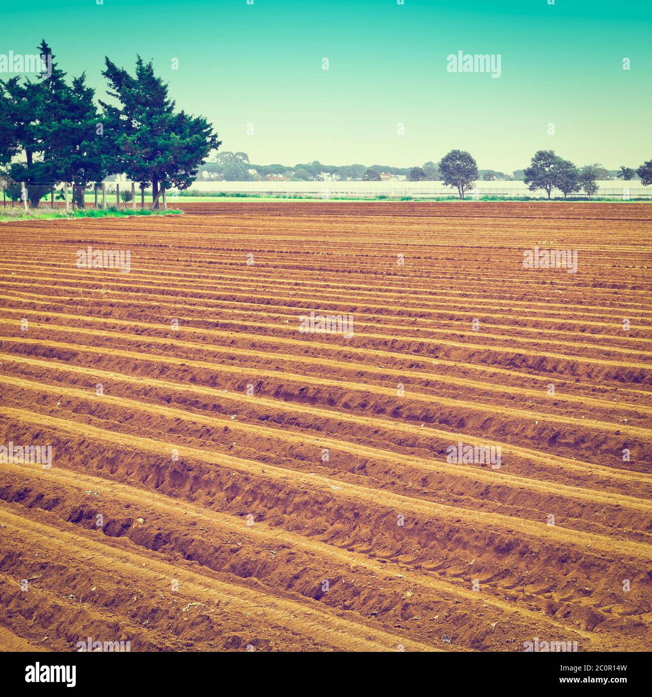 Italian greenhouse hi-res stock photography and images - Alamy