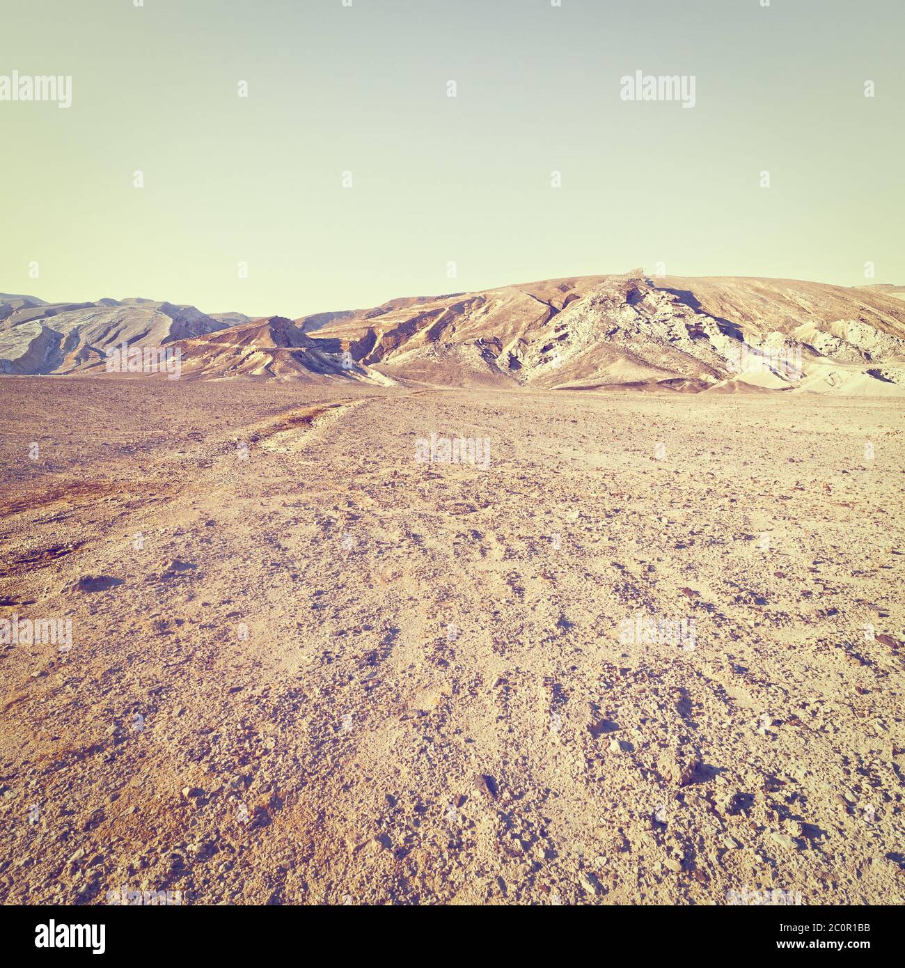 Desert at Sunset Stock Photo - Alamy
