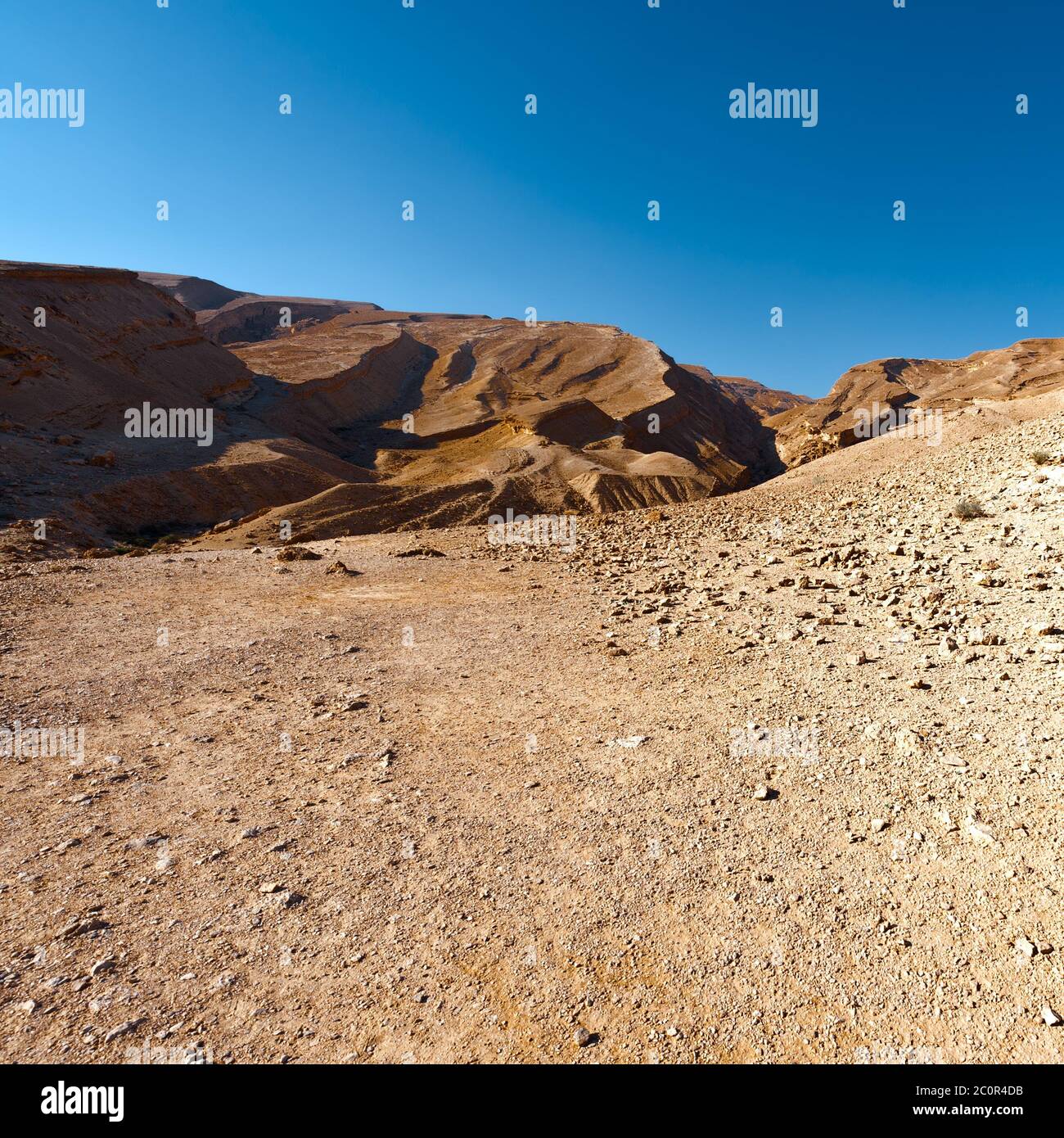 Desert in Israel Stock Photo - Alamy