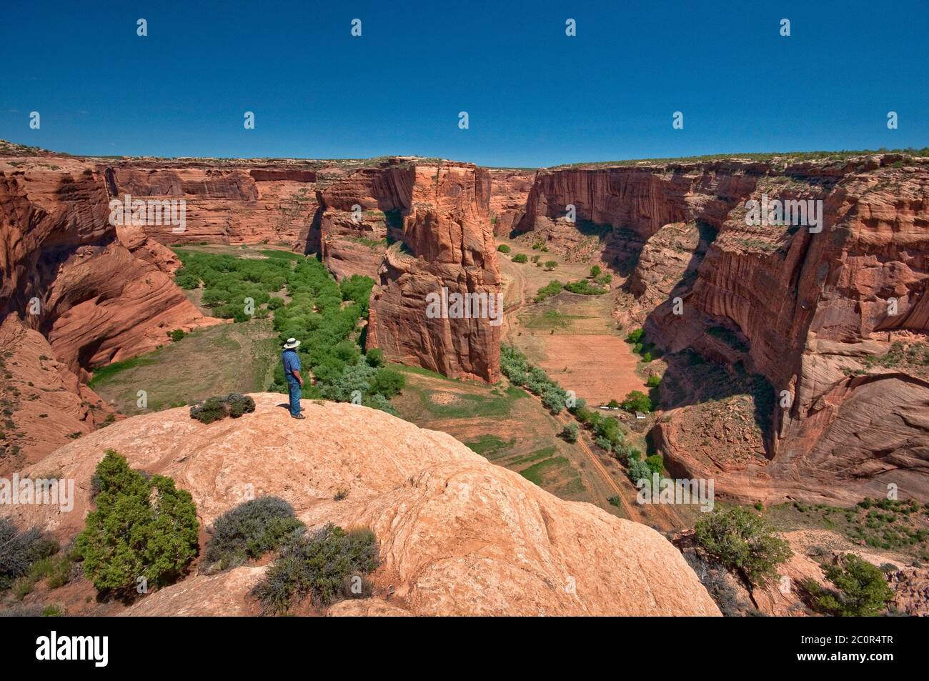Navajo Fortress, rock dividing Canyon del Muerto from Black Rock Canyon ...