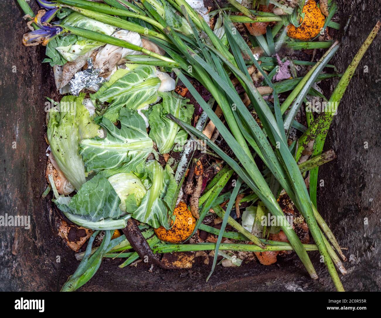 Rubbish bin contents hi-res stock photography and images - Alamy