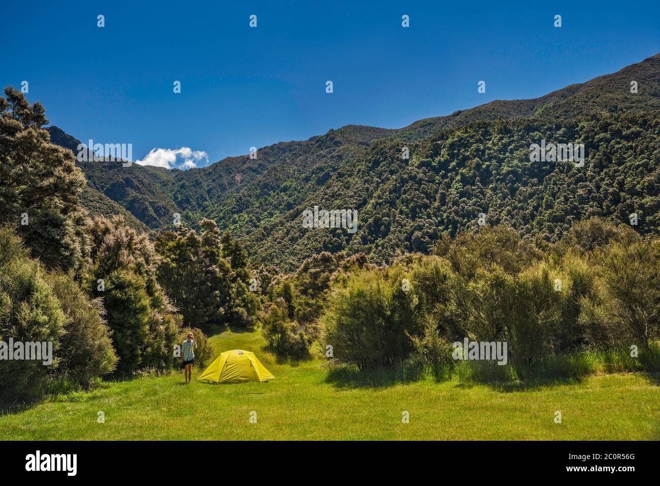 Tent at Kuripapango Campsite, Kaweka Range mountains, Kaweka Forest ...