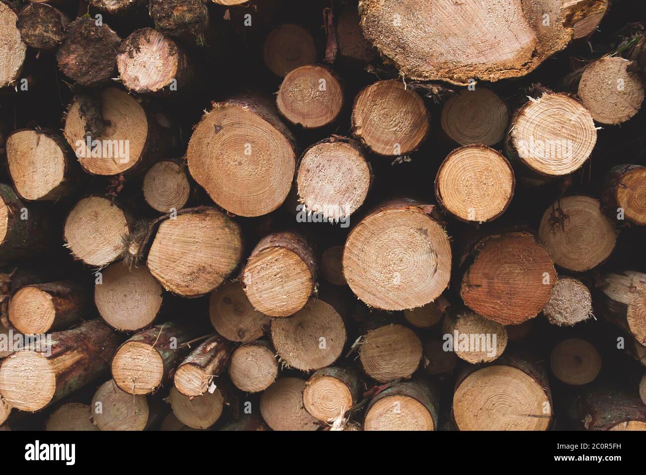 Pile of chopped down wood logs Stock Photo - Alamy