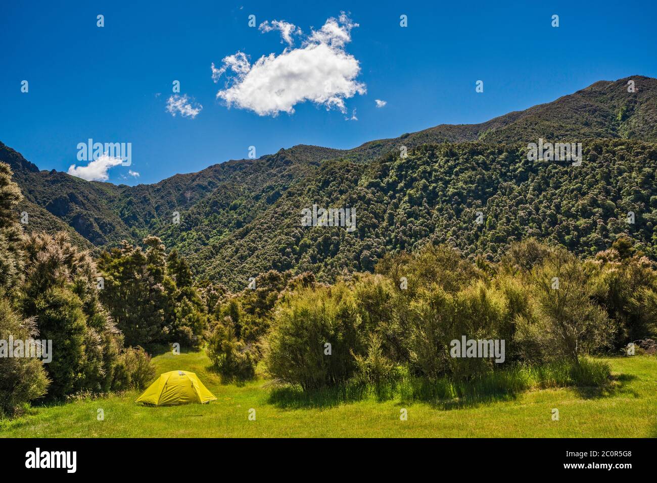 Tent at Kuripapango Campsite, Kaweka Range mountains, Kaweka Forest ...