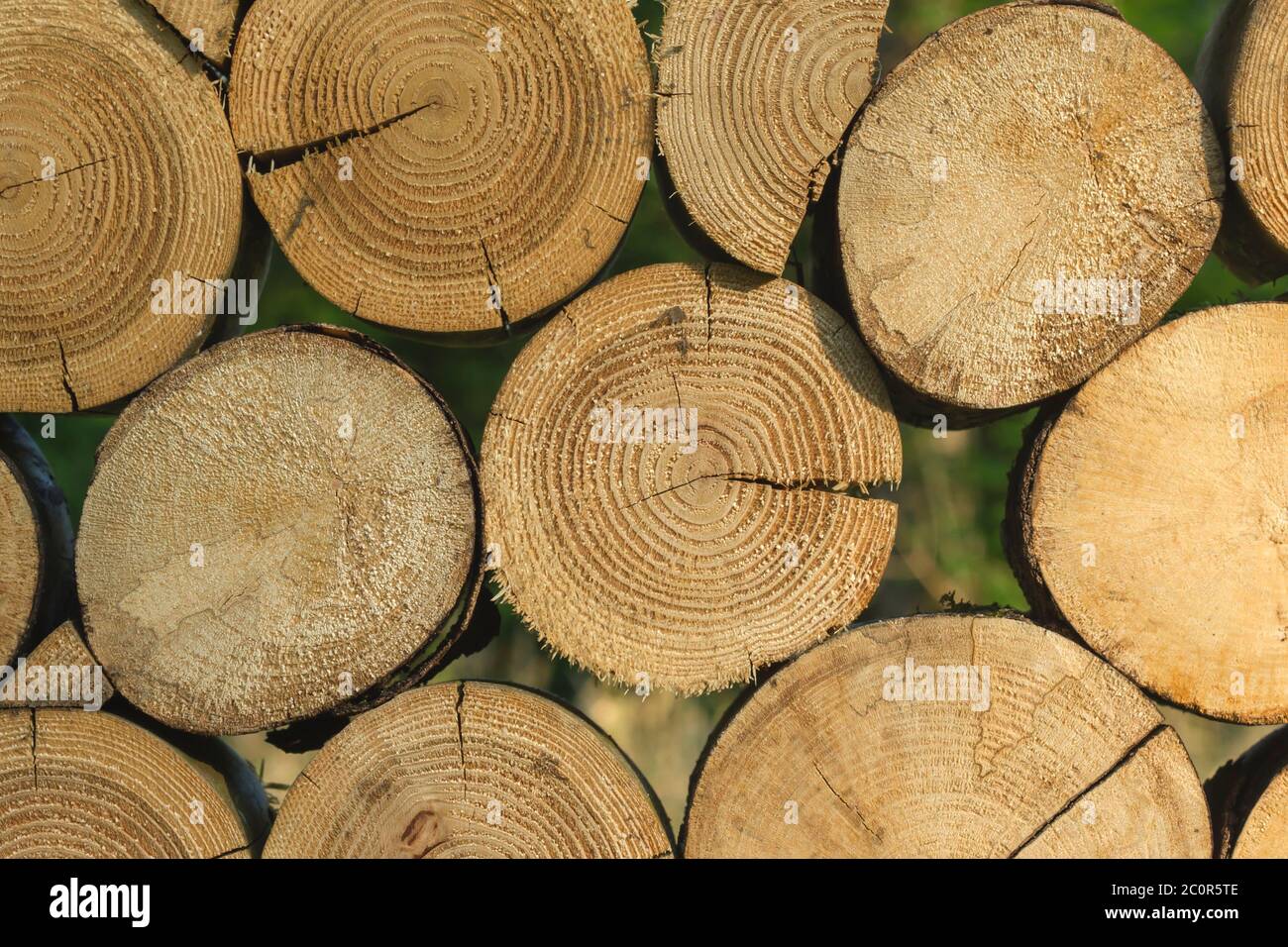 Pile of chopped down wood logs Stock Photo - Alamy