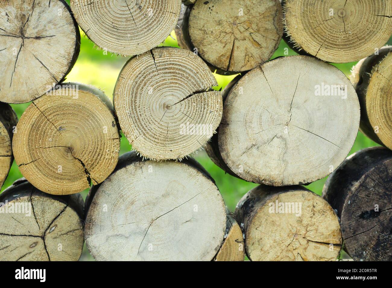 Pile of chopped down wood logs Stock Photo - Alamy