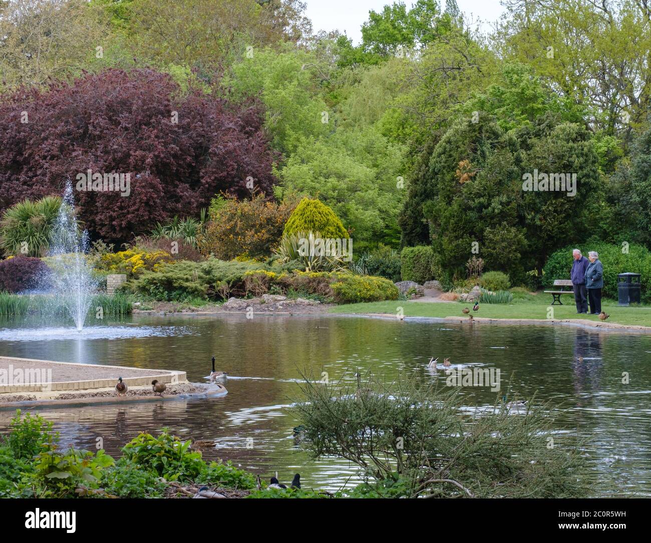 Spring trees london hi-res stock photography and images - Alamy