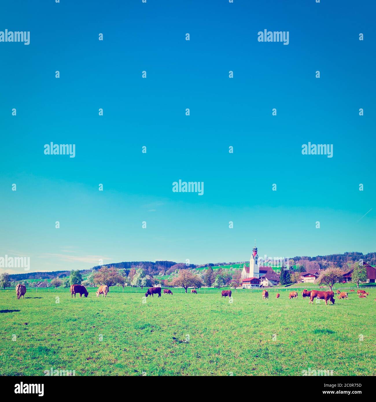 Meadows mud hi-res stock photography and images - Alamy