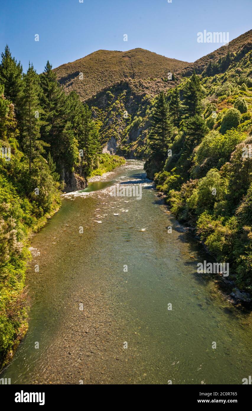 Kaweka forest park hi-res stock photography and images - Alamy