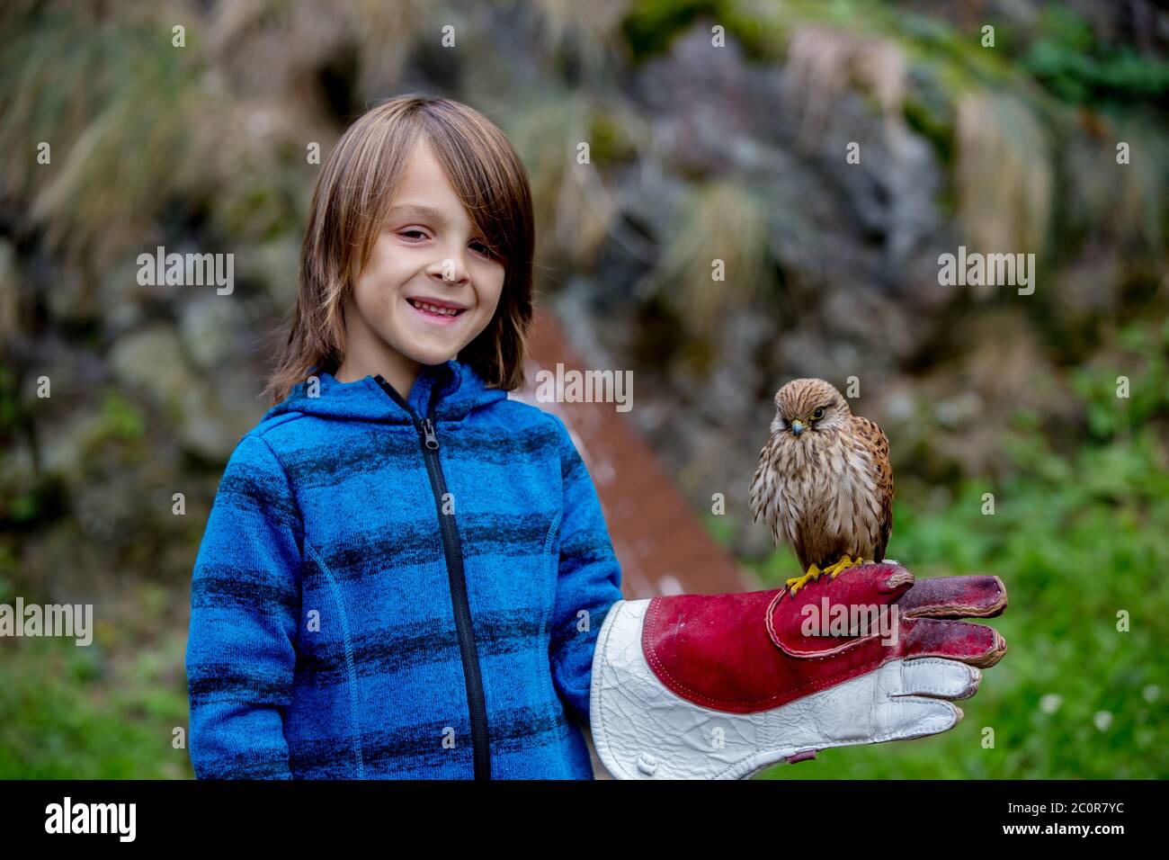 Preschool boy, child, holding eagle bird in the park, big glove on his ...