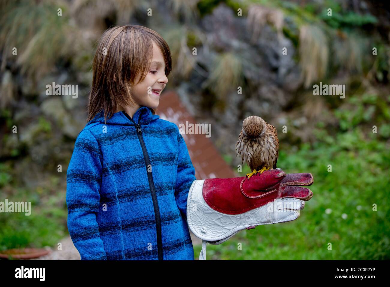 Preschool boy, child, holding eagle bird in the park, big glove on his ...