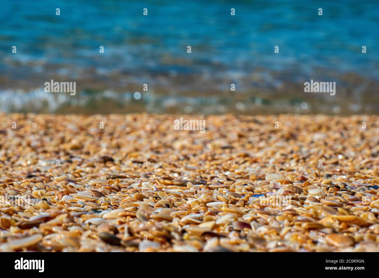 Finely milled shells and wet sand on the beach, clear emerald sea and ...