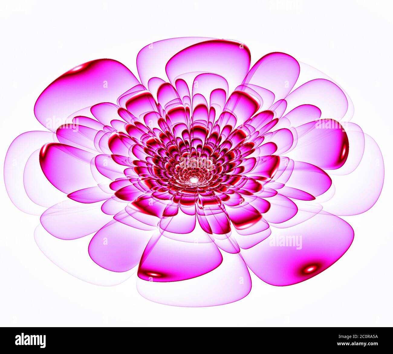 Fractals In Nature Flowers