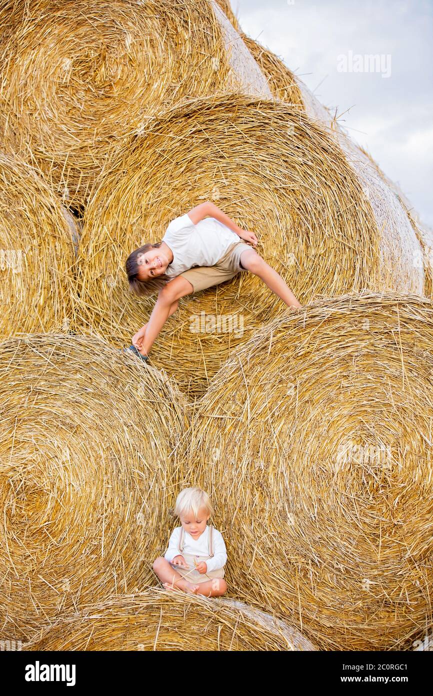 Happy children, playing on haystacks in a field, summertime Stock Photo ...