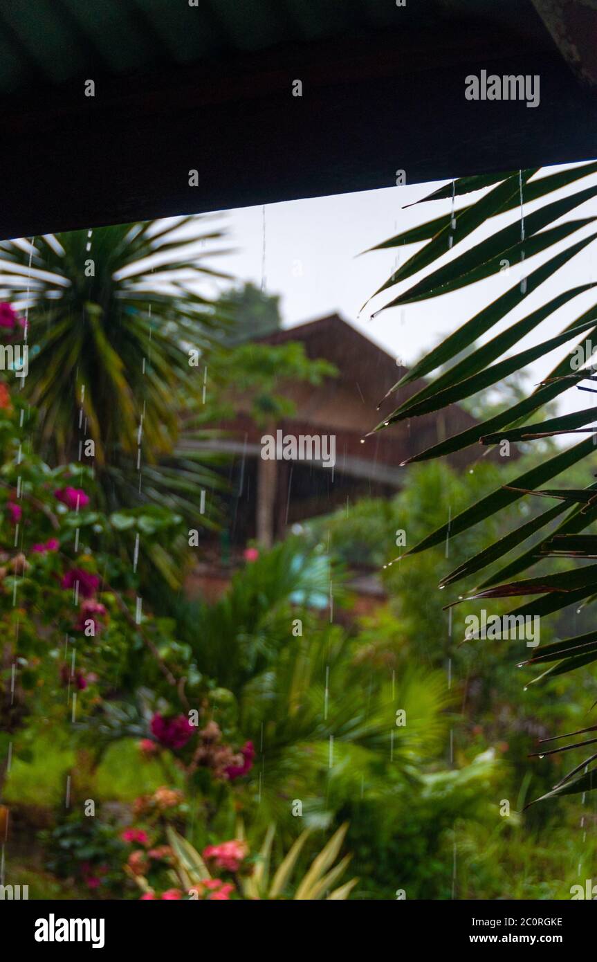 Drops of heavy rain hi-res stock photography and images - Alamy