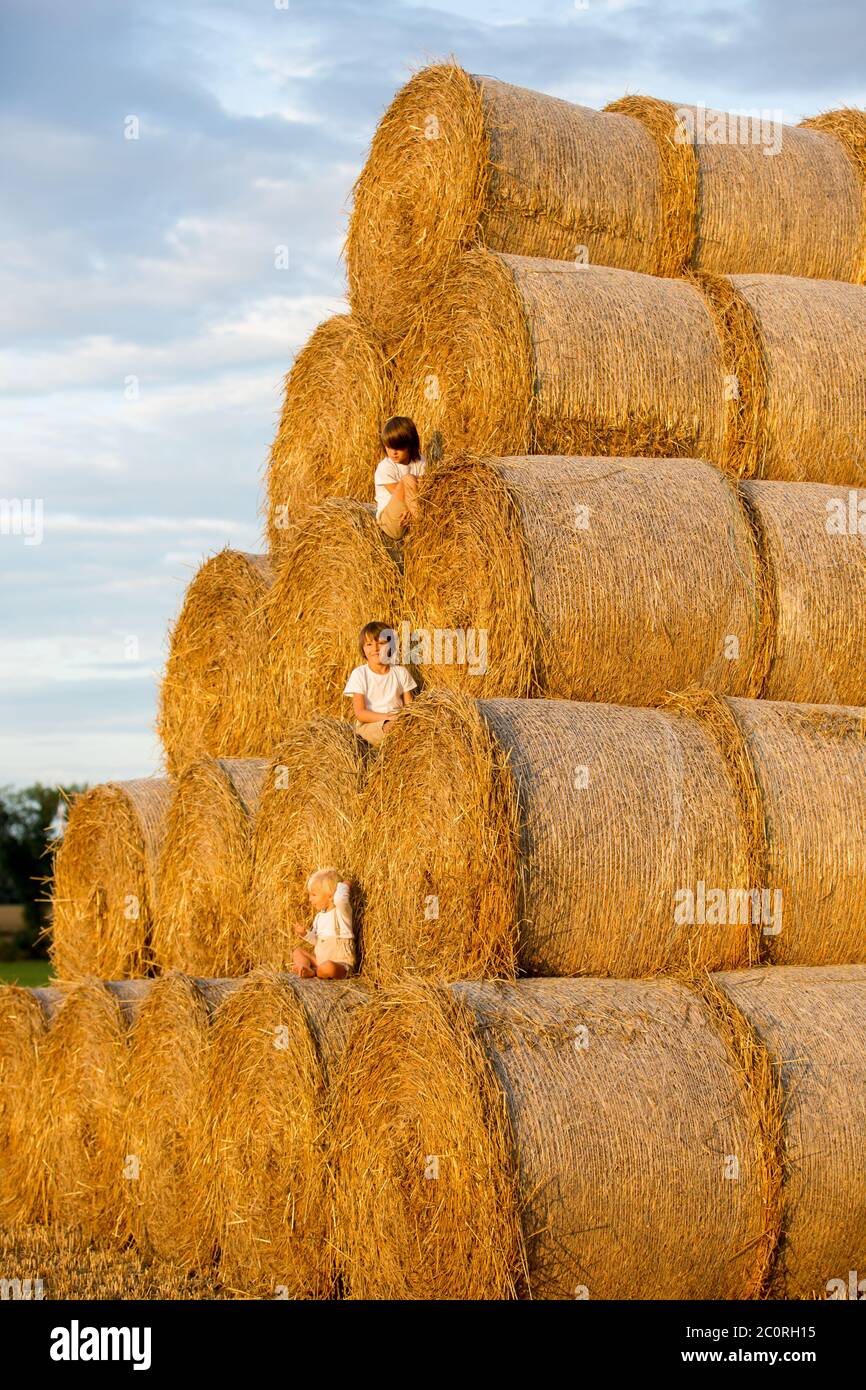 Happy children, playing on haystacks in a field, summertime Stock Photo ...