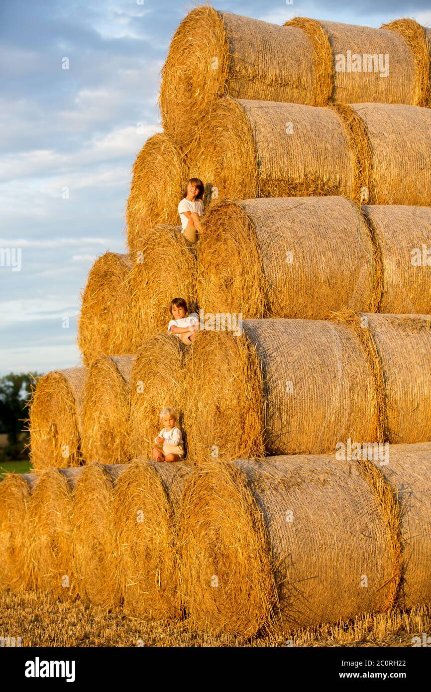 Happy children, playing on haystacks in a field, summertime Stock Photo ...