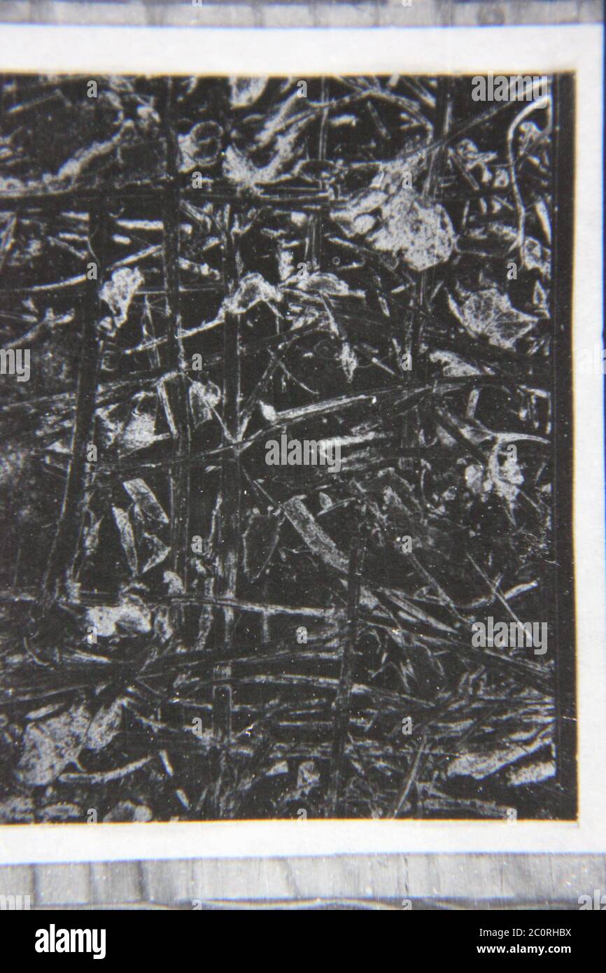 Fine 1970s vintage black and white photography of the beauty of nature ...