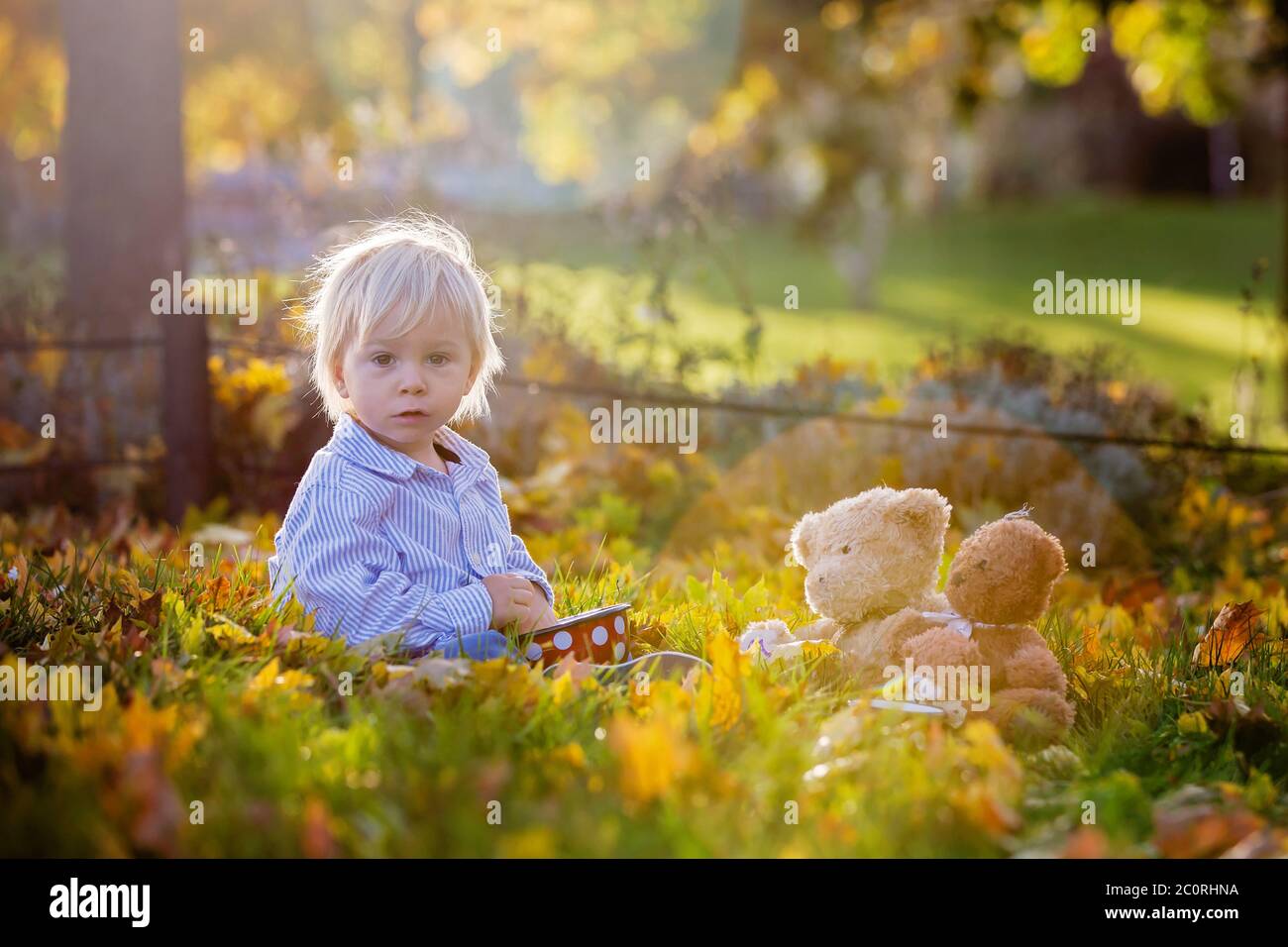 Beautiful toddler child, boy, drinking tea in the park with teddy bear ...