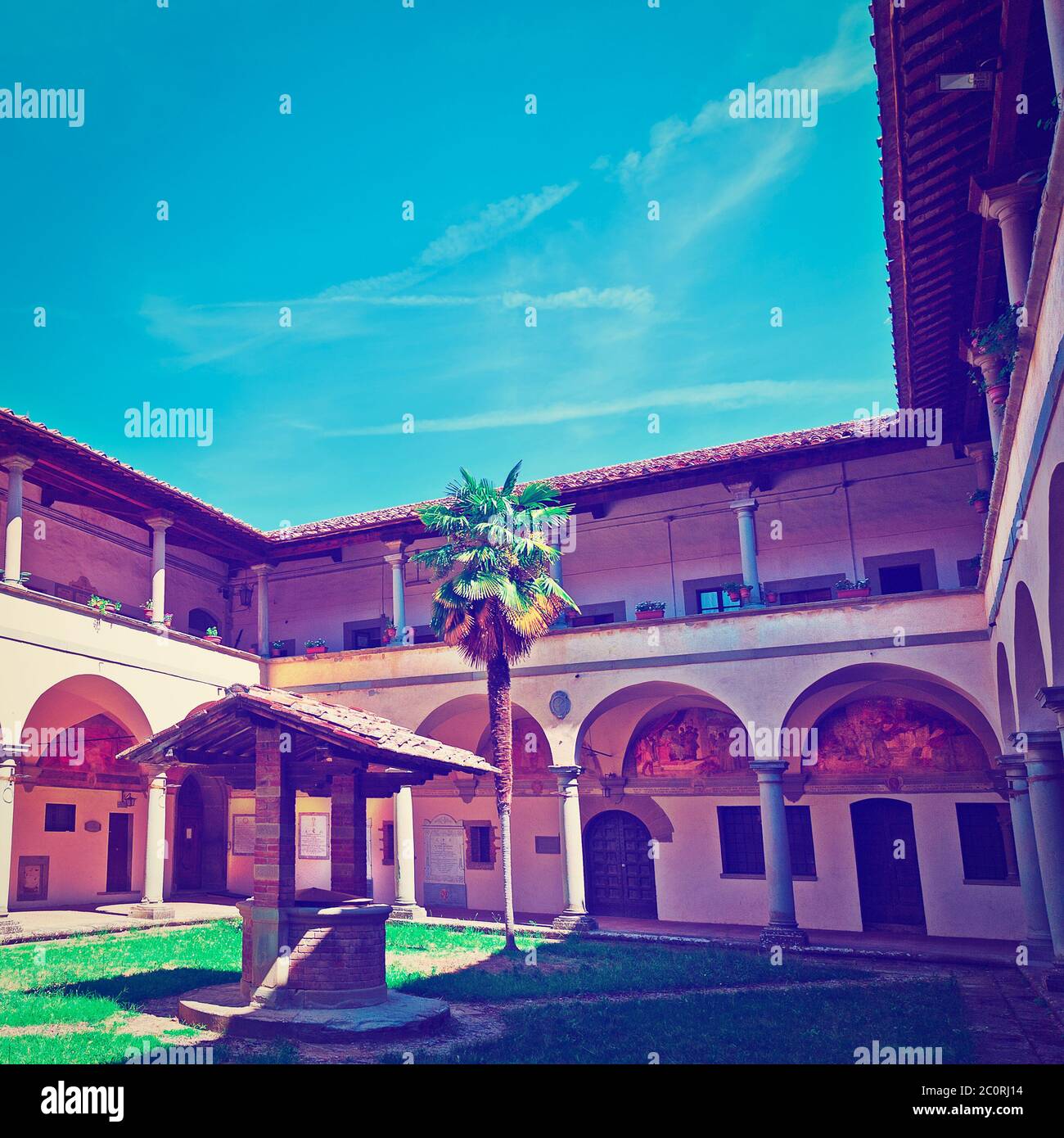 Palm tree courtyard design hi-res stock photography and images - Alamy