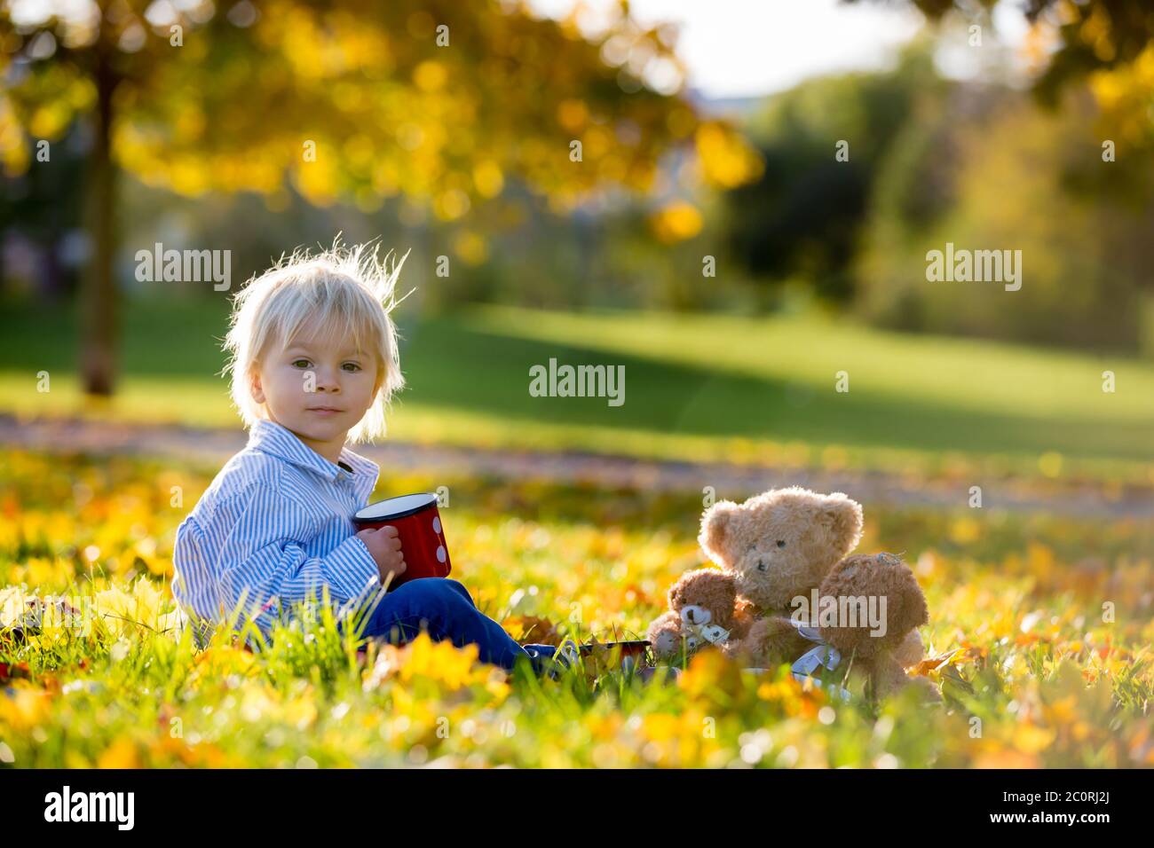 Beautiful toddler child, boy, drinking tea in the park with teddy bear ...