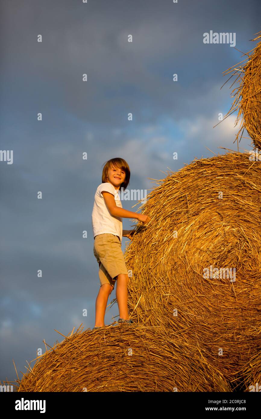 Happy children, playing on haystacks in a field, summertime Stock Photo ...