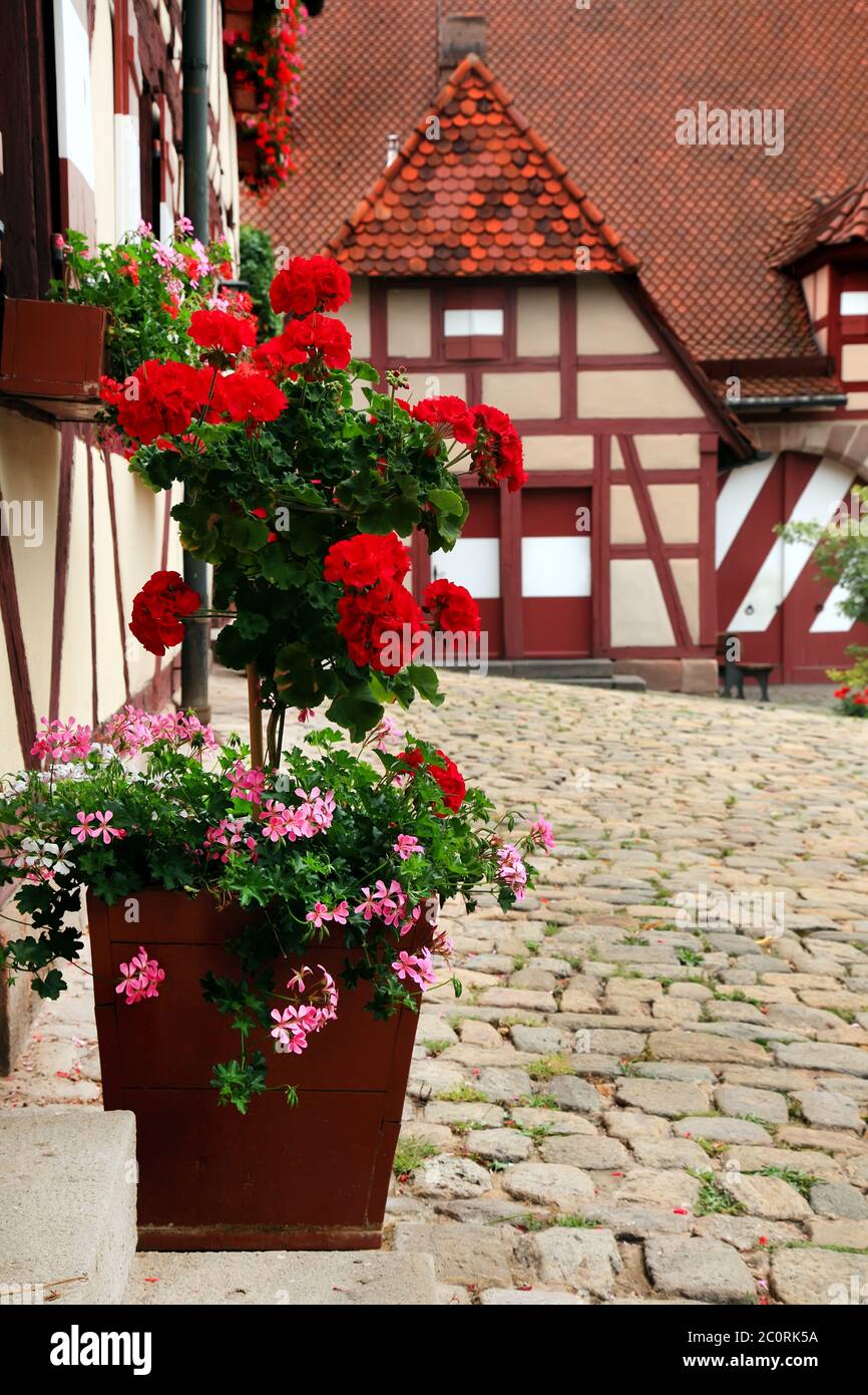 Courtyard decoration with flowers. Kaiserburg, a part of Emperor's ...
