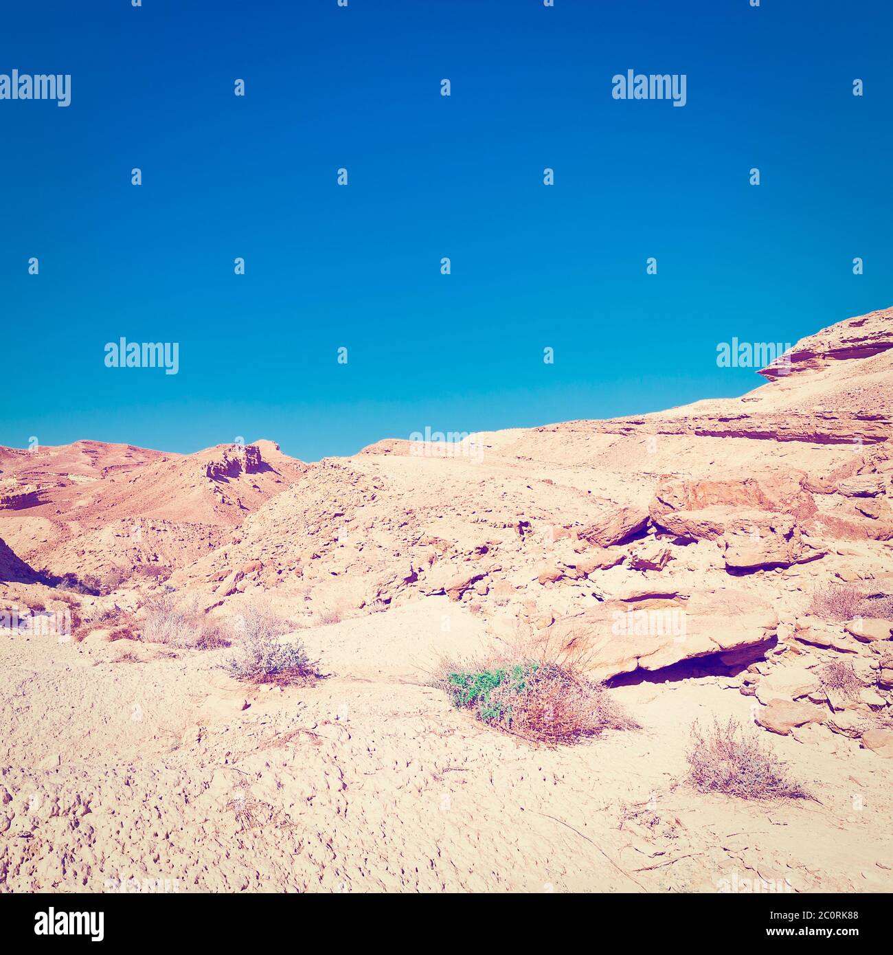 Rocky mountains nat hi-res stock photography and images - Alamy