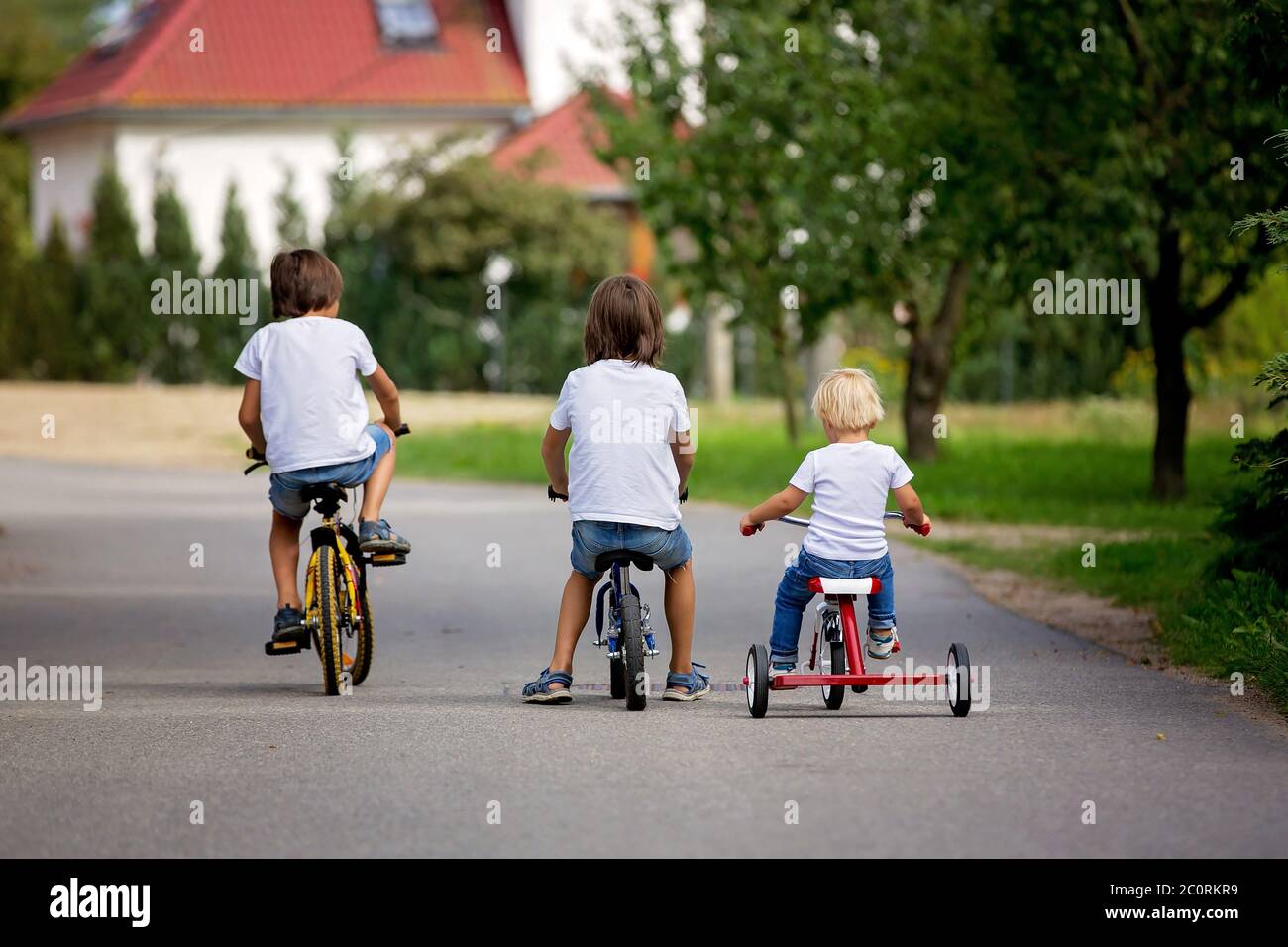 Three children, brothers, riding bike, tricycle and balance bike on the ...