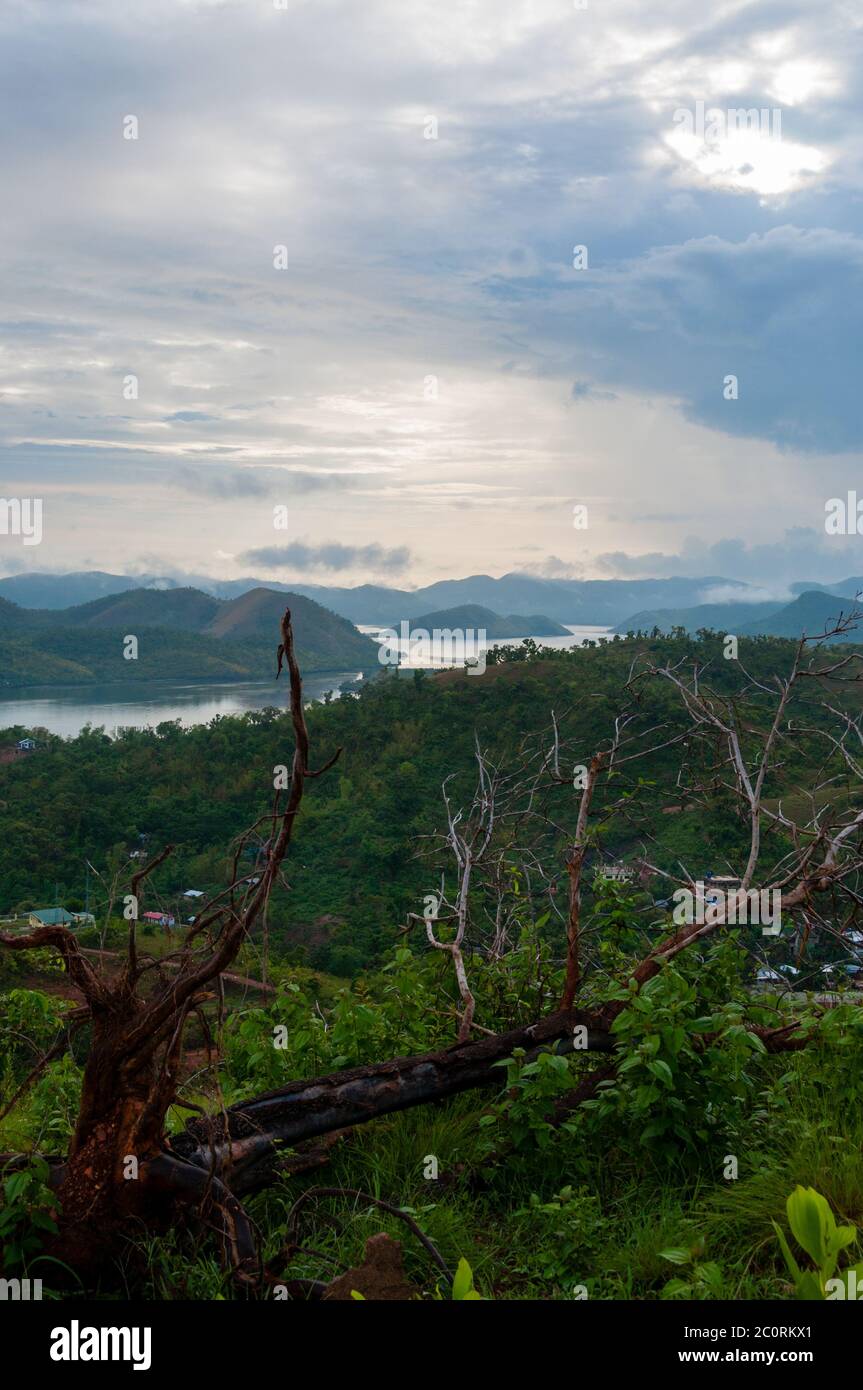 Tree top hill hi-res stock photography and images - Alamy