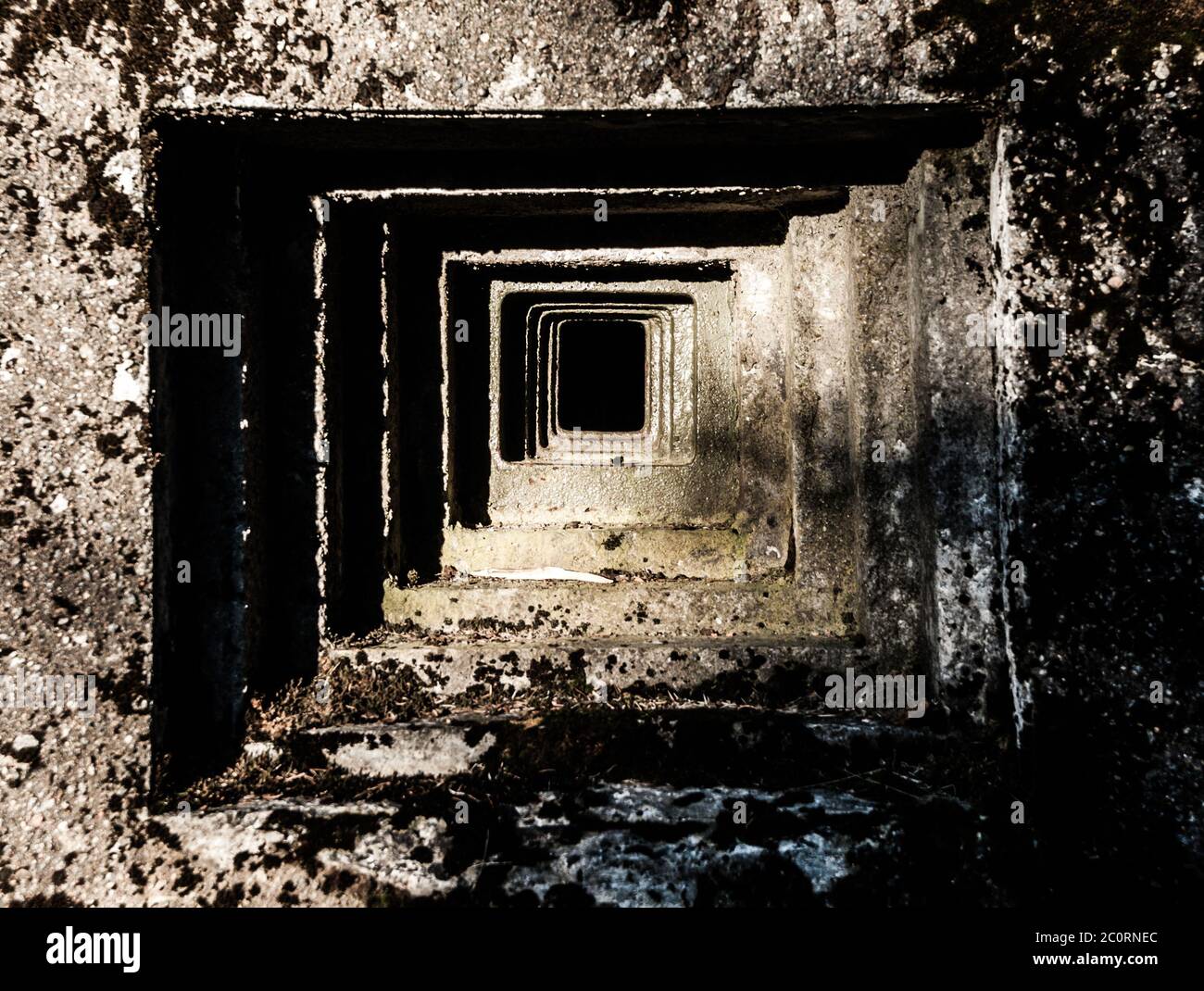Bunker camouflage hi-res stock photography and images - Alamy