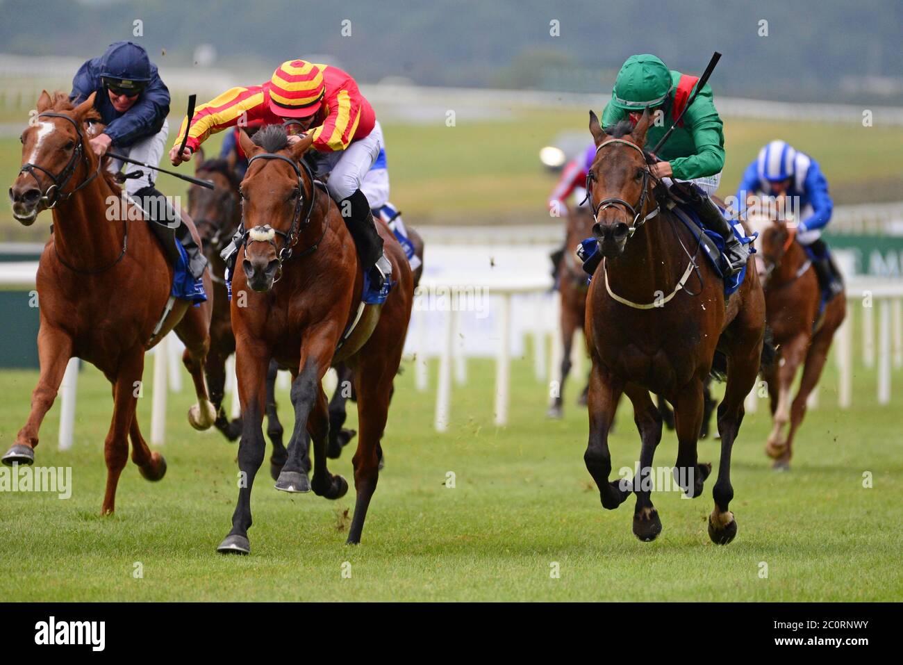 Galileo Chrome ridden by Shane Crosse (red and yellow silks) wins the ...