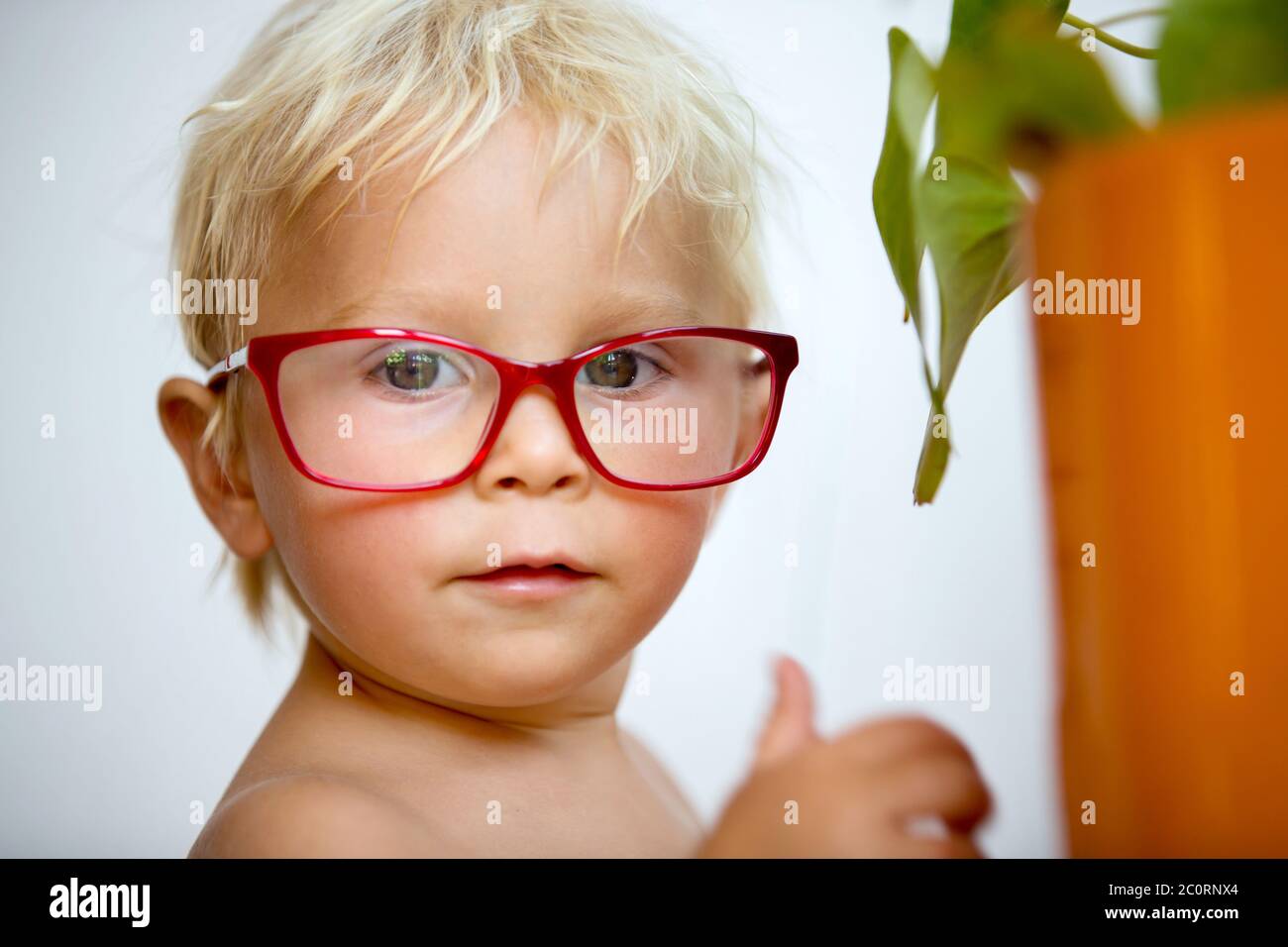 Sweet toddler boy with red eyeglasses on white background, making sweet ...